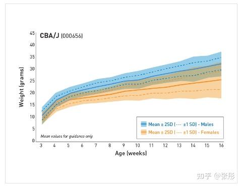 CBA小鼠及其亚系介绍：CBA/J、CBA/CaJ - 知乎