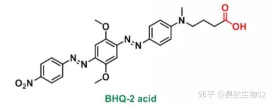 BHQ-1 OH，羟基修饰BHQ-2/3黑洞猝灭荧光染料 - 知乎