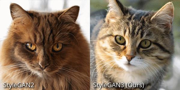 StyleGAN2脸部数据集训练步骤记录 - 知乎