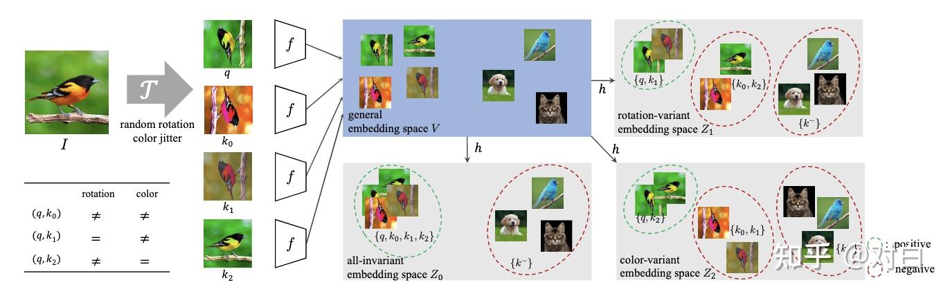万物皆Contrastive Learning，从ICLR和NIPS上解读对比学习最新研究进展 - 知乎