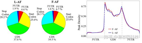 易基因｜m6A RNA甲基化研究的数据挖掘思路：干货系列 - 知乎