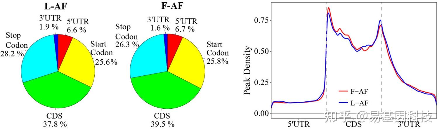 易基因｜m6A RNA甲基化研究的数据挖掘思路：干货系列 - 知乎