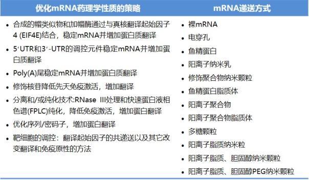 从新冠候选疫苗 BNT162b 看 mRNA 疫苗 - 知乎