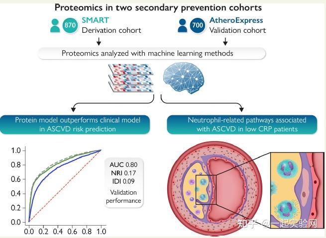 心血管顶刊：蛋白组学+机器学习 - 知乎