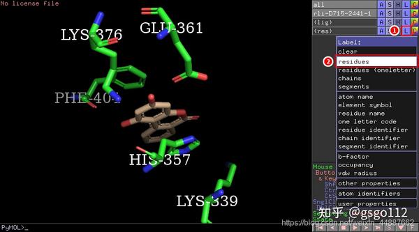 Pymol 