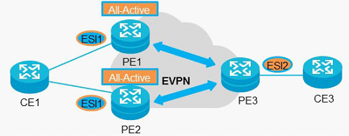 读透，什么是 EVPN ？ - 知乎