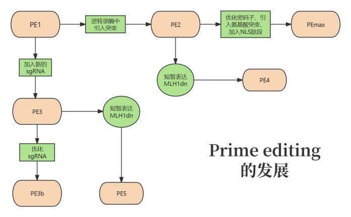 Prime editing 101：一文带你读懂先导编辑 - 知乎
