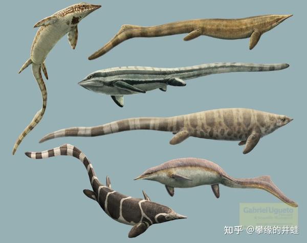 第二百八十六回 幽蓝幻想曲2：逼近的暗影 - 知乎