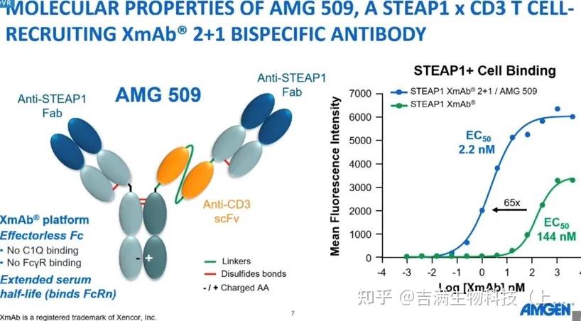 前列腺癌靶向治疗的热门靶点：STEAP1 - 知乎