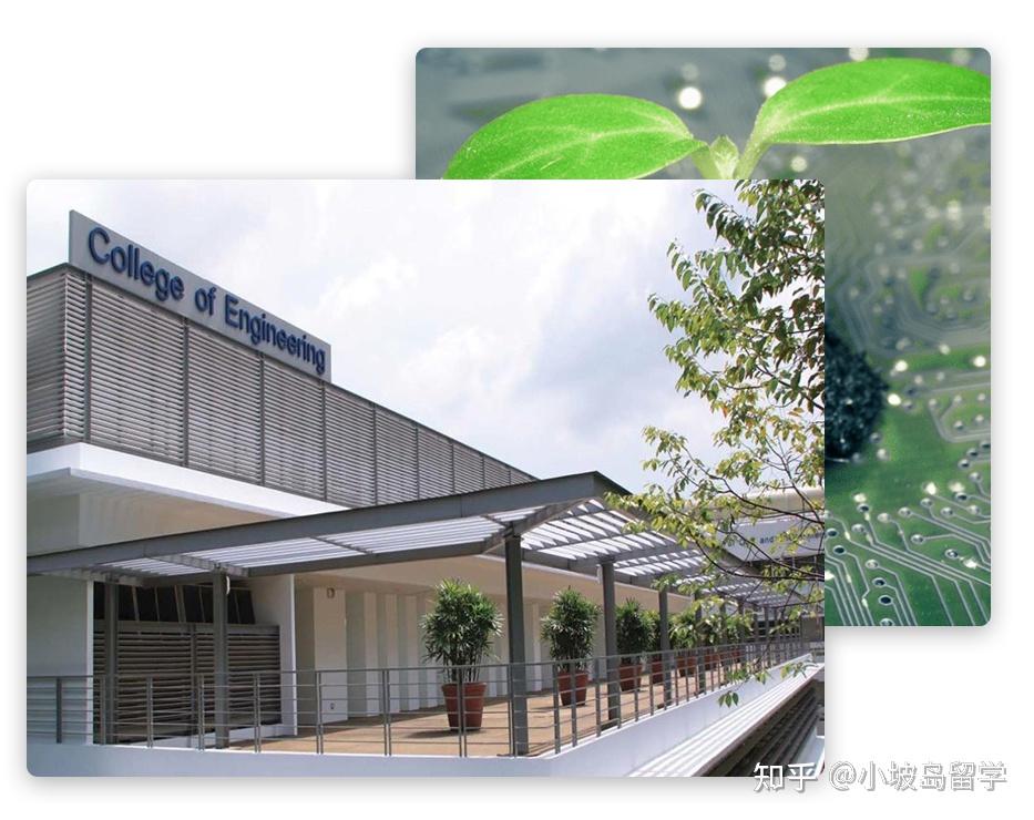 新加坡NTU学院介绍丨化学、化工与生物科技学院(CCEB) - 知乎