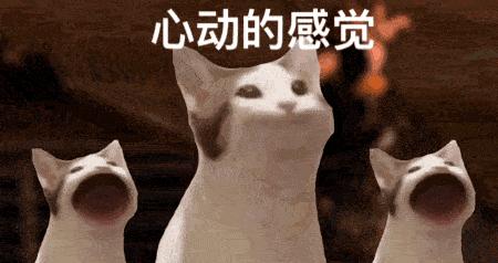 超有趣！如何把Pop Cat作为我的回收站图标 - 知乎