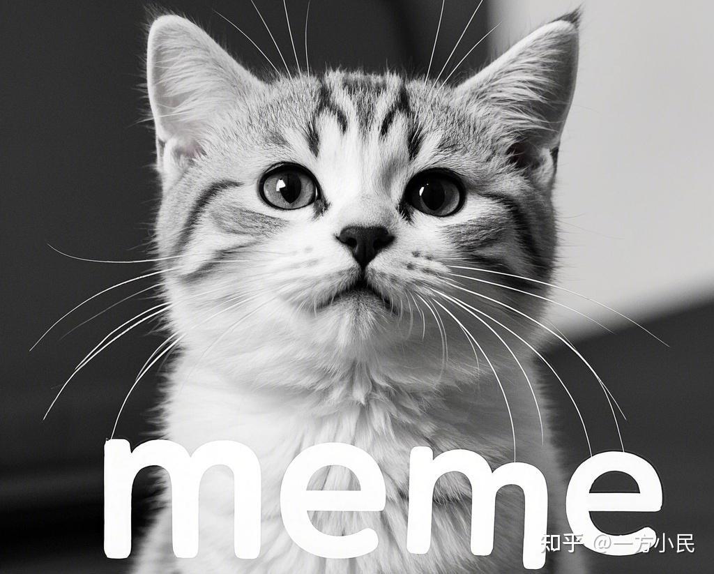 “meme”，用mem0实现Agent的长记忆模块 - 知乎