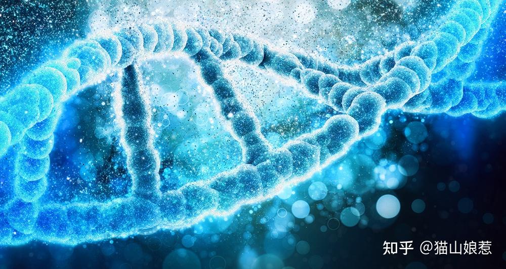 研究人员首次在南极洲的沉积物样本中，检测到一百万年前的 DNA - 知乎