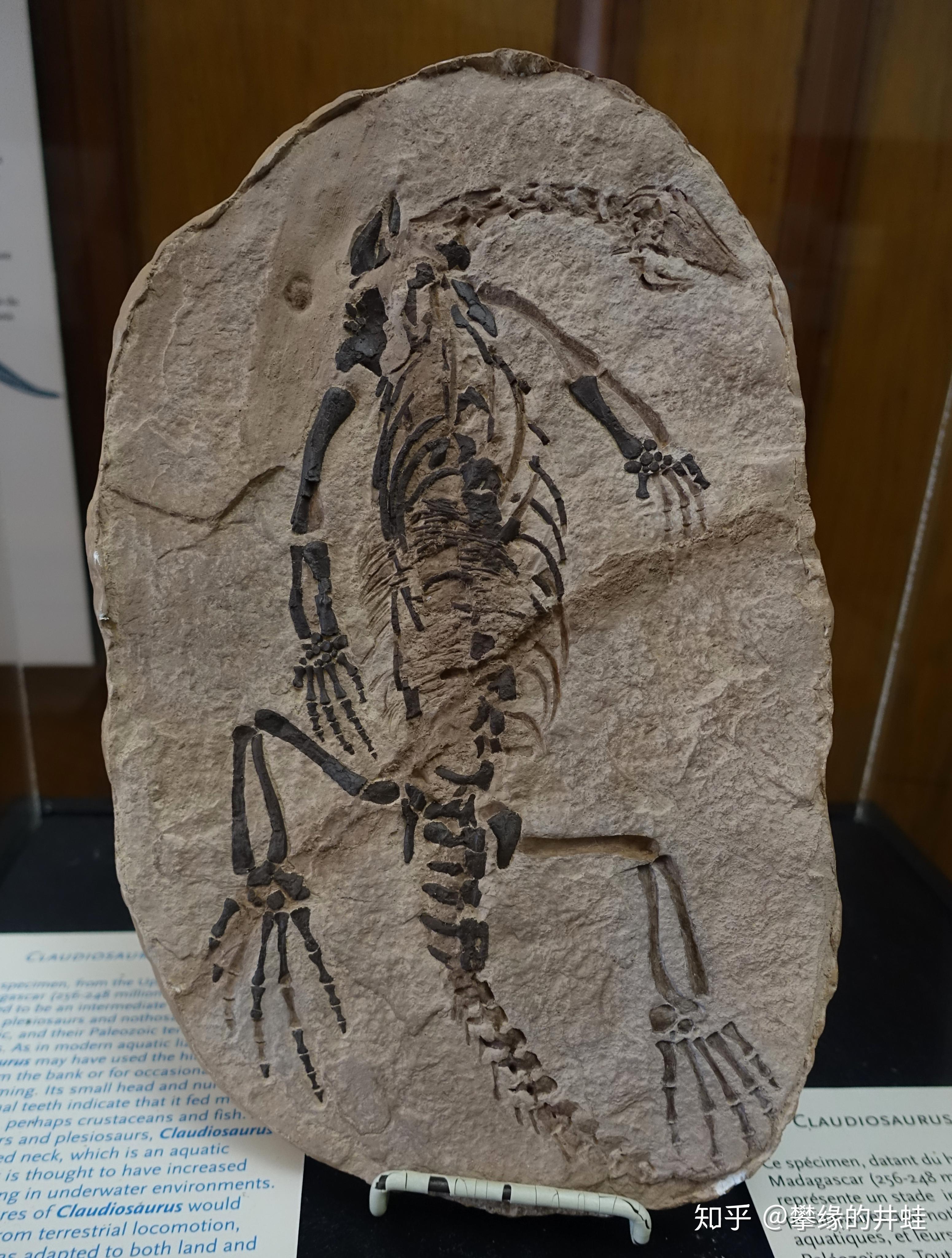 【地球演义】水陆空v1.0 - 知乎