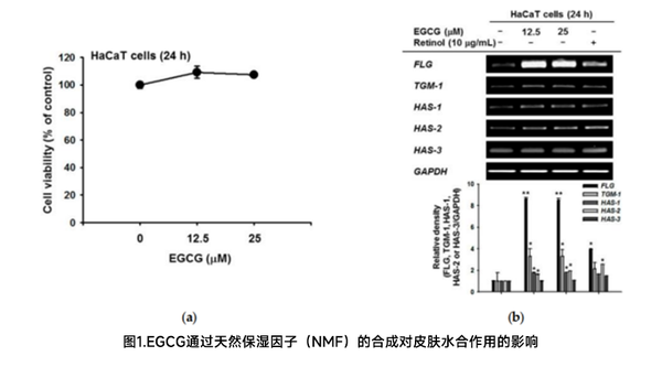 科研证实：EGCG对皮肤具有保湿和抗氧化作用 - 知乎