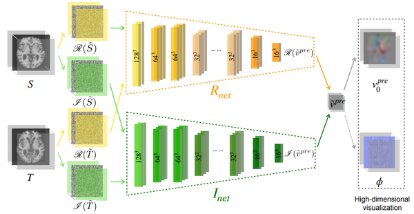CVPR 2020 论文大盘点-医学影像处理识别篇 - 知乎