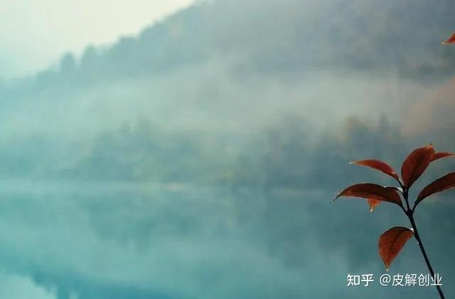 诗词｜有趣又令人舒适的诗句，好想摘抄下来 知乎