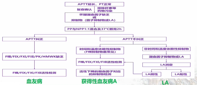 如何看APTT纠正试验 - 知乎