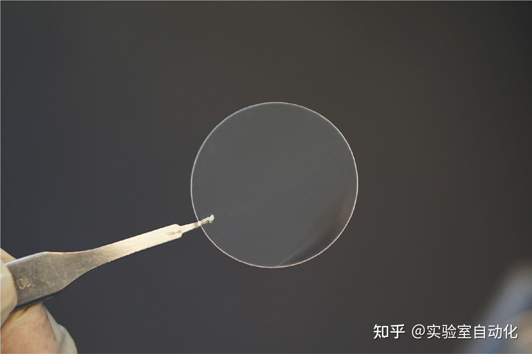 PHABIOC 测试药物渗透性的仿生膜-PermeaPad® Barrier和PermeaPad® plate - 知乎