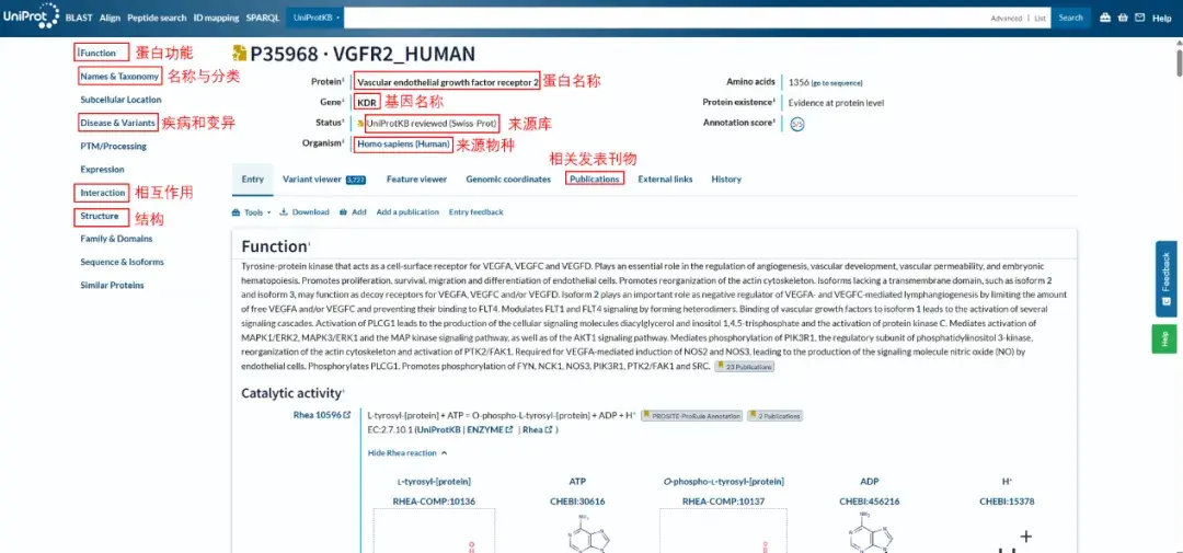 分子对接蛋白晶体的获取--PDB与UniProt数据库的使用 - 知乎