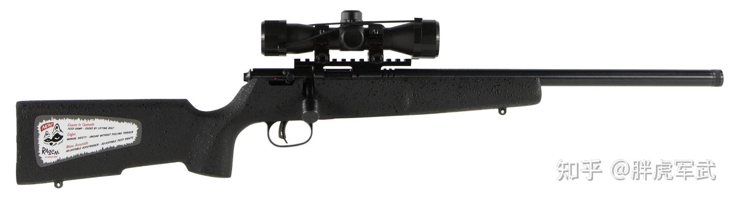 2023年最好的.22 LR 步枪 - 知乎