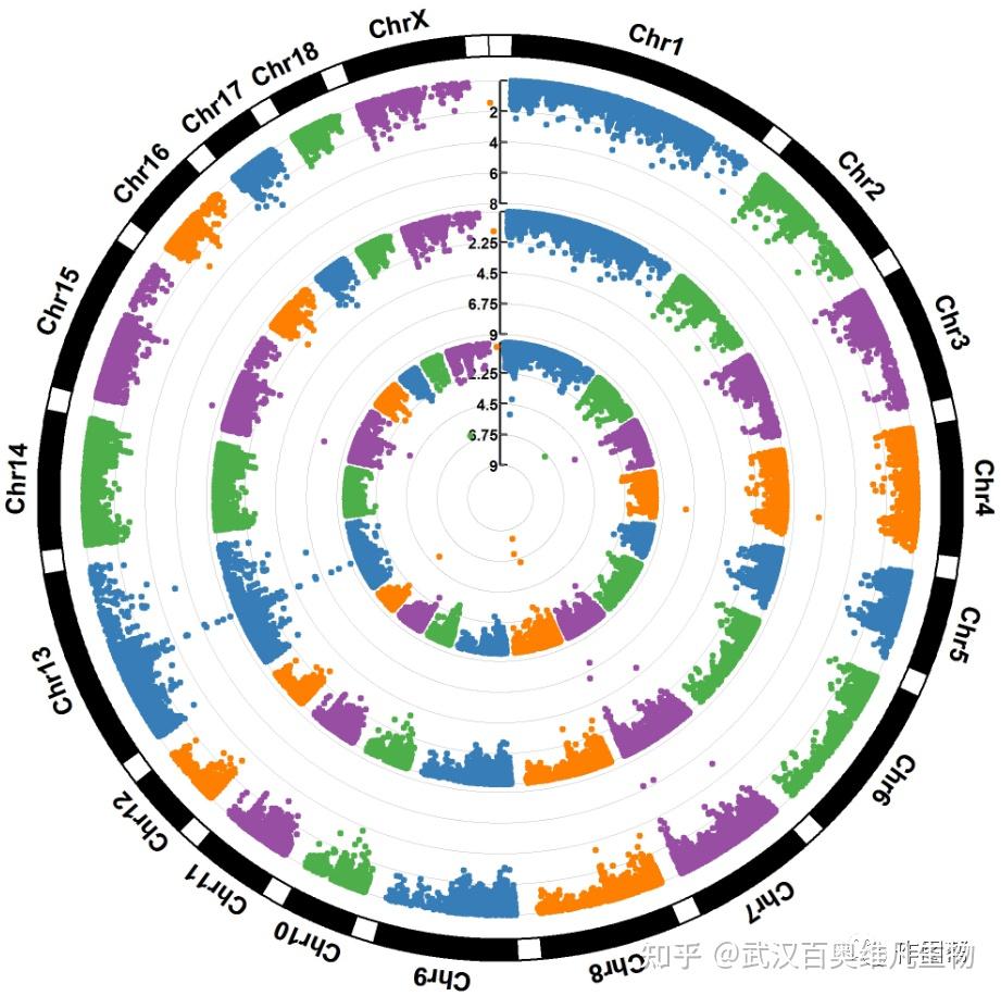 R语言cmplot包绘制环形曼哈顿图 知乎 