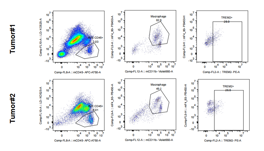 明星靶点TREM2，阿尔兹海默症和癌症治疗的新希望 - 知乎