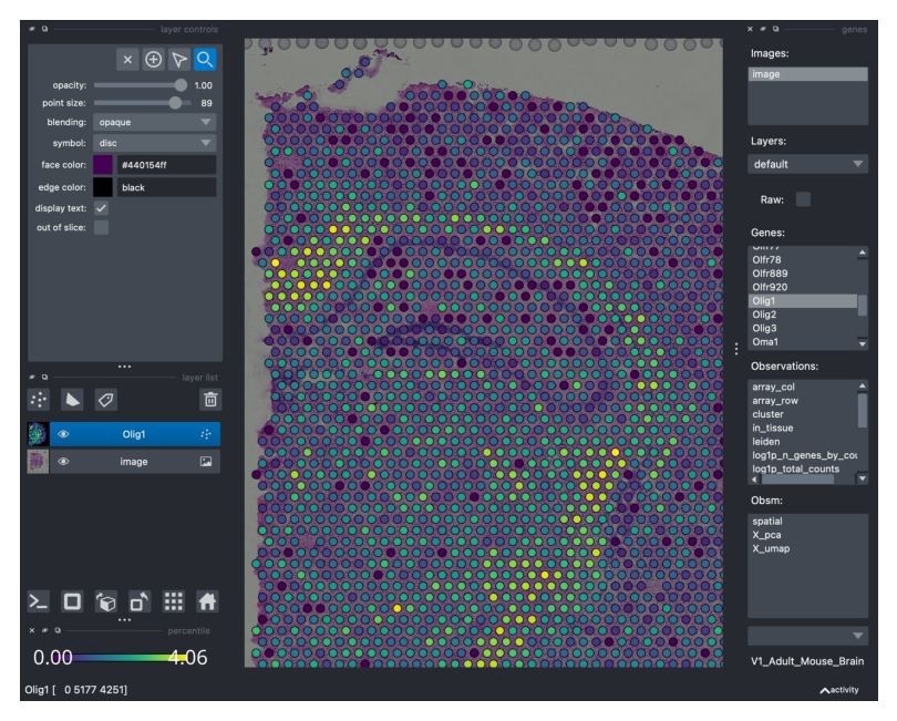 squidpy 教程 3：使用 Napari 进行交互式可视化 - 知乎