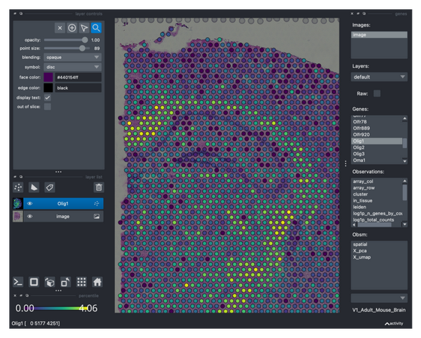 squidpy 教程 3：使用 Napari 进行交互式可视化 - 知乎