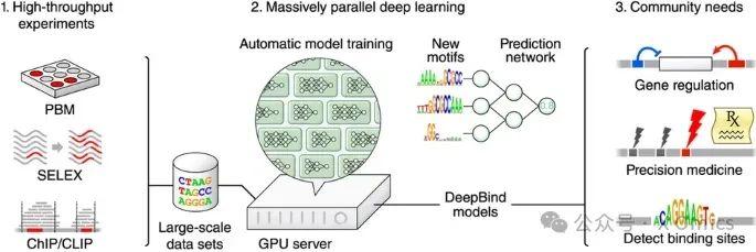 Nature Reviews Genetics ｜万字长文综述，深度学习基因组学（珍藏版） - 知乎