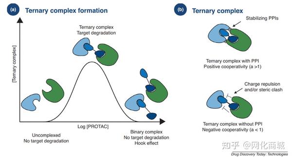 新药研发利器：PROTAC技术（最全解读） - 知乎