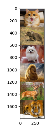 python einops - 知乎