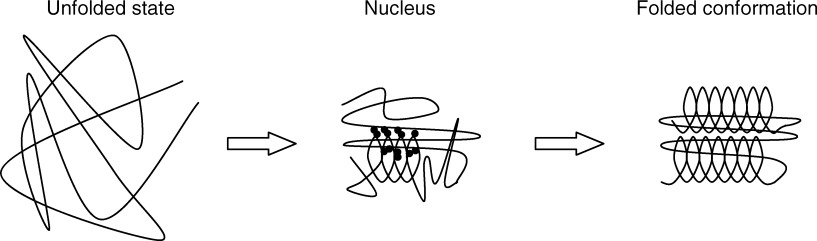 专题 | David Baker：蛋白质设计的先驱 - 知乎