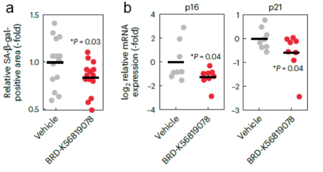拨慢人体衰老时钟，MIT 利用 Chemprop 模型发现兼具药效与安全性的细胞抗衰化合物 - 知乎