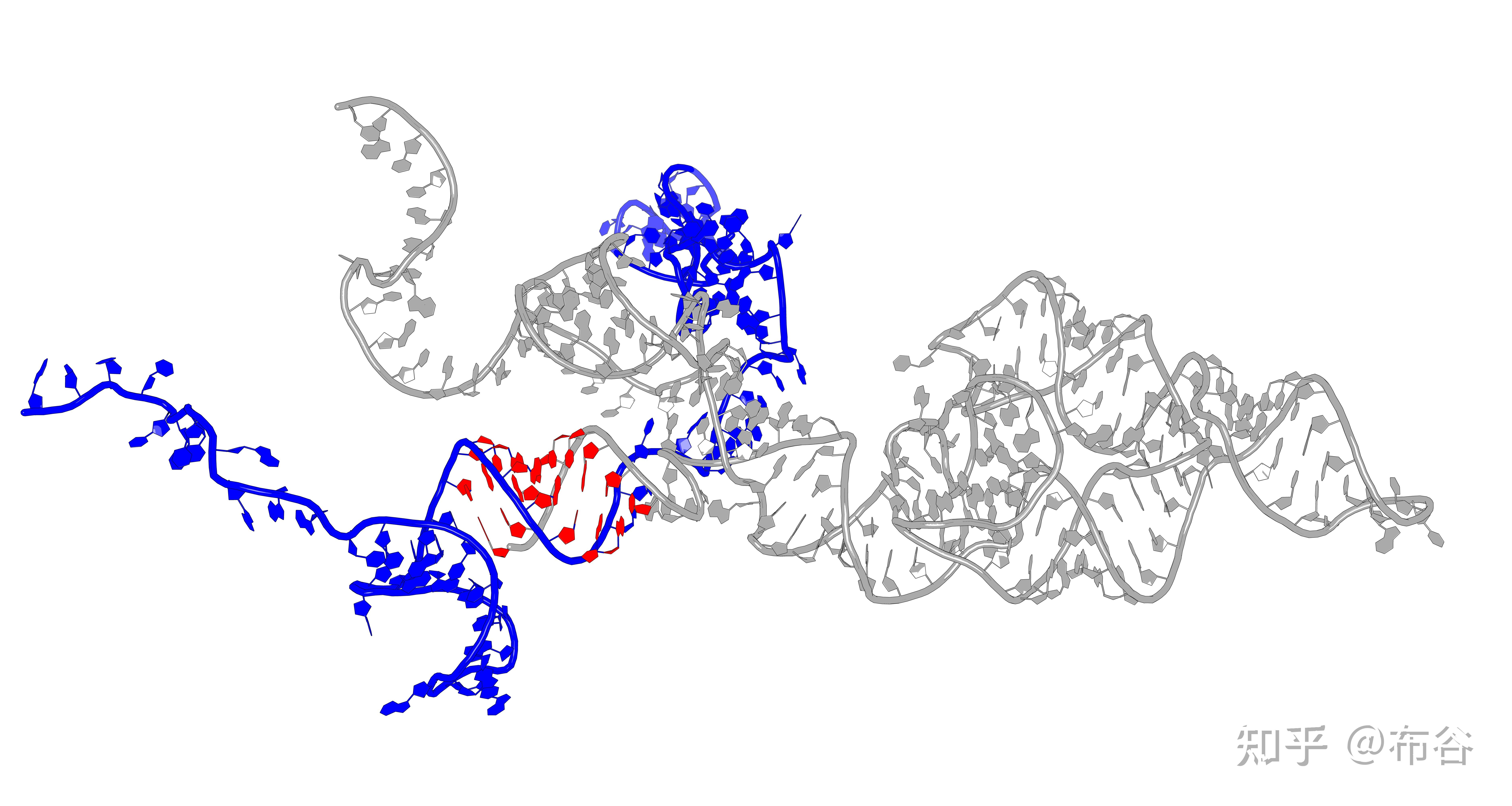 Pymol的几个使用例子 - 知乎