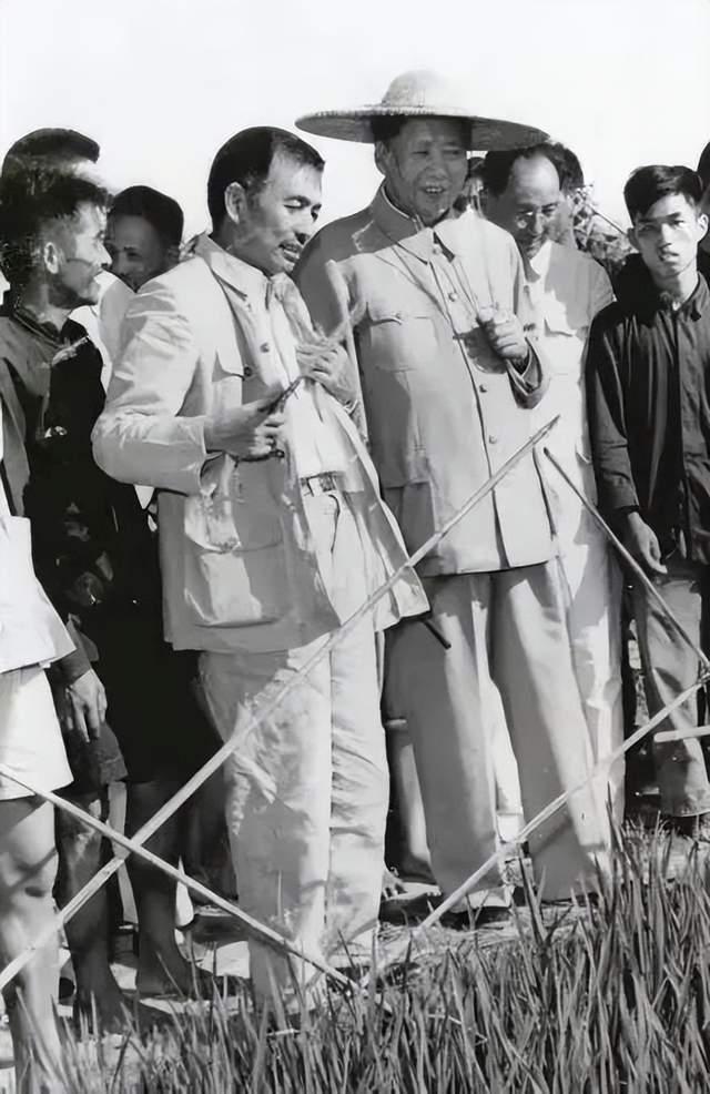 陶铸的女儿陶斯亮说：我父亲主政广东15年是三七开，七分功三分过 - 知乎