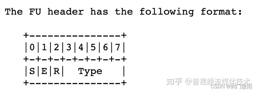 RTP封包 - CNHK19 - 博客园