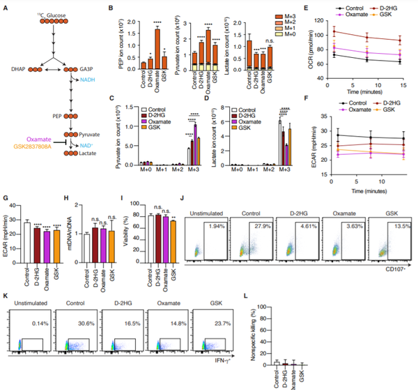 Science | 肿瘤代谢物D-2HG削弱附近的免疫细胞 - 知乎