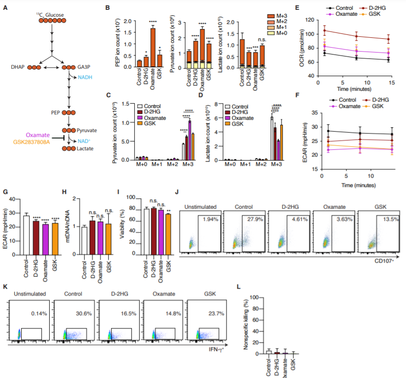 Science | 肿瘤代谢物D-2HG削弱附近的免疫细胞 - 知乎
