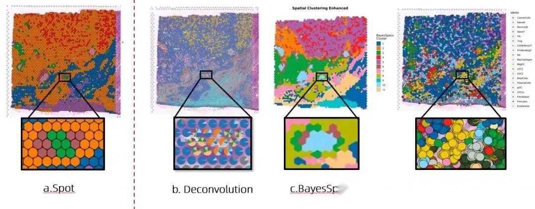 CellTrek | 将单细胞数据映射到组织切片原位图的精准工具 - 知乎
