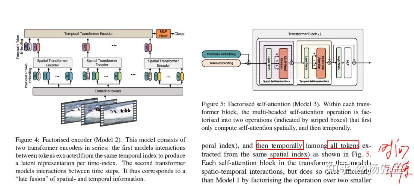 ICCV2021 ViViT: A Video Vision Transformer - 知乎