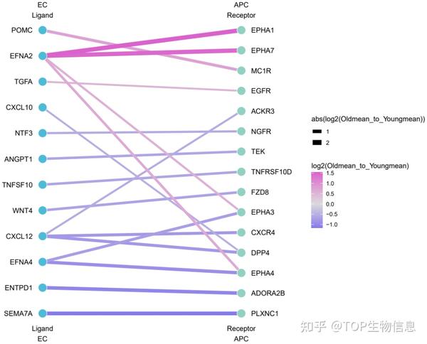 一个对接CellPhoneDB的R包 - 知乎