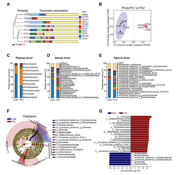 凌恩生物文献分享 | 16S全长扩增子+代谢组/转录组多组学！高分paper的绝佳拍档！ - 知乎