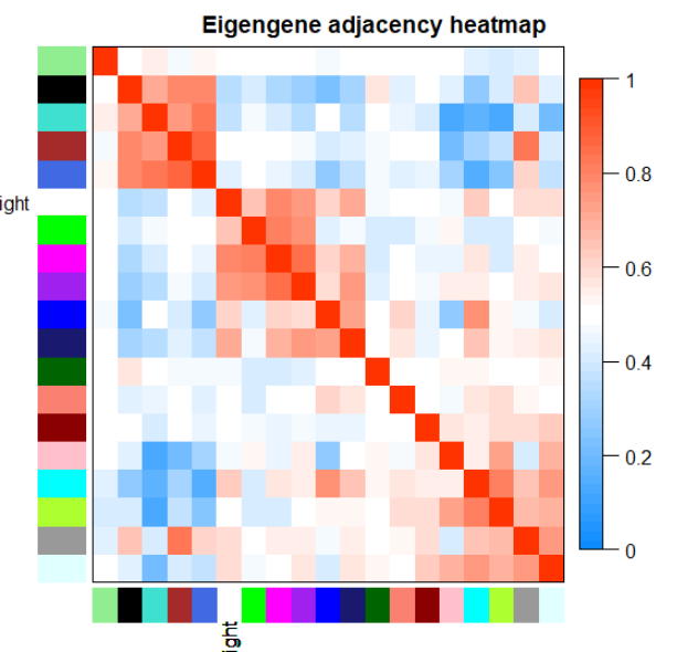 WGCNA 简明指南|3.使用WGCNA实现网络可视化 - 知乎