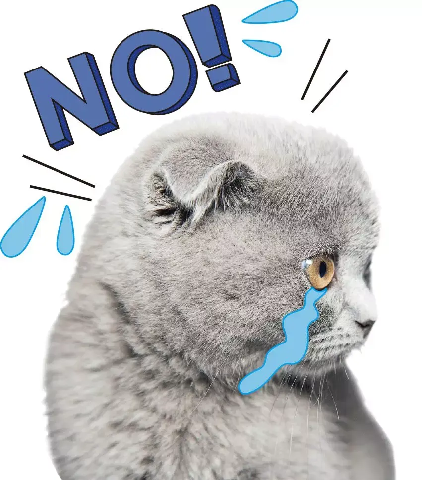 2分钟带你彻底搞清emmener / amener / apporter / emporter的用法 - 知乎