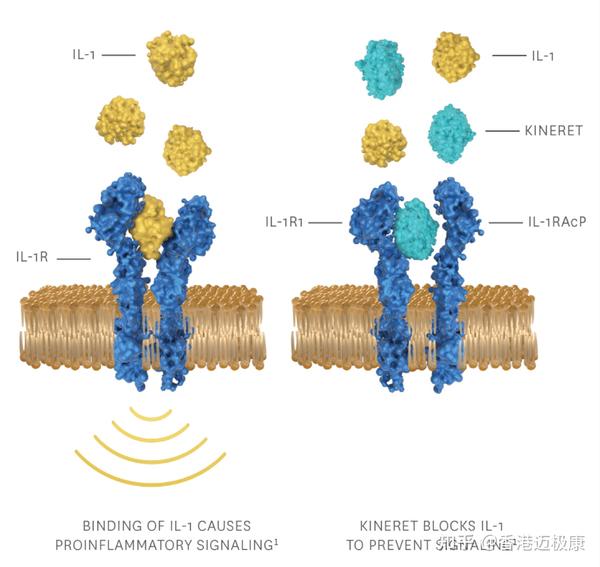 FDA 批准用于住院 COVID 患者的 IL-1 药物 - 知乎