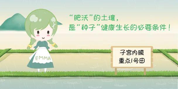 EMMA&ALICE的优势在哪？ - 知乎