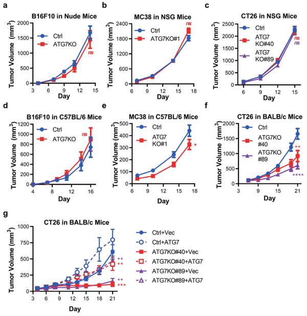 基因编辑CT26.WT细胞系——结肠癌研究与治疗的神奇途径 |源井生物 - 知乎