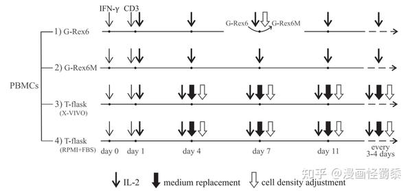【评测】G-REX细胞培养系统 - 知乎