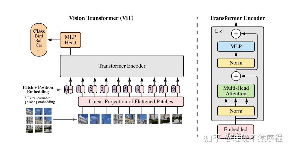 【手搓代码】亲手实现 Vision Transformer - 知乎